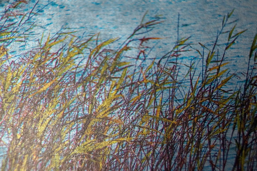 nomeco - noble metal compounds - Home